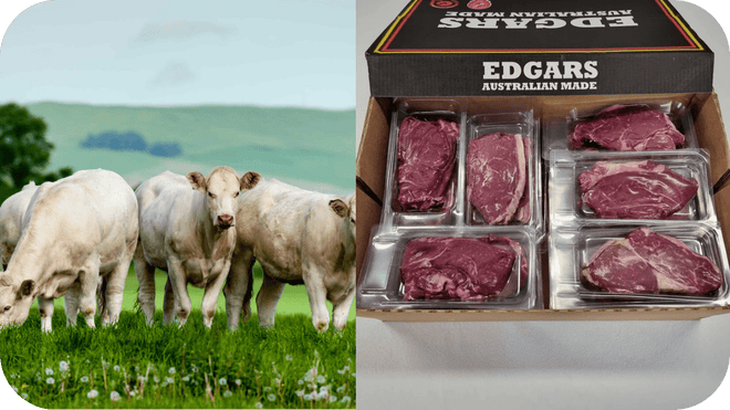 Sustainable Meat Sourcing: How to Make Ethical Choices – Carnivore Society