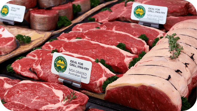 Why MSA Grade Beef Matters – Carnivore Society