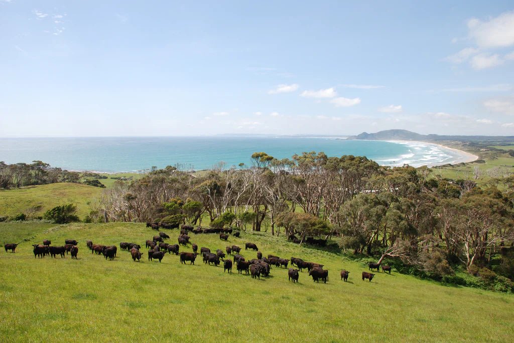 Bass Strait Grass-Fed Beef – Carnivore Society